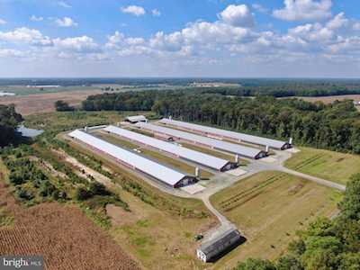 Delaware Farms, Agricultural for Sale | Agricultural Farms Real Estate ...