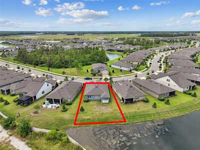 Homes for Sale in Del Webb Bexley of Land O Lakes