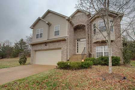 Cane Ridge, Antioch, TN Homes for Sale