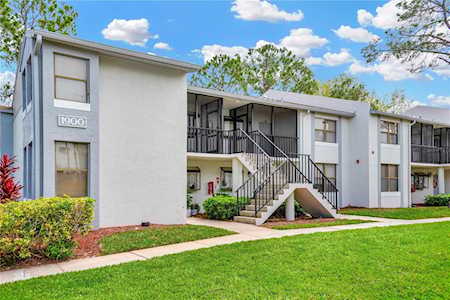 Feather Sound Homes and Condos | Clearwater FL