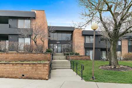 Countryside Condos and Real Estate for sale in Palatine