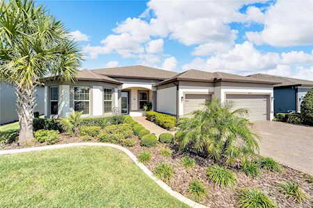 Del Webb Bexley | Homes For Sale in Land O Lakes Florida