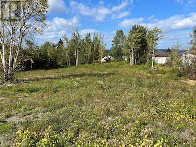 South Brook & Area Real Estate - Homes for Sale in South Brook & Area