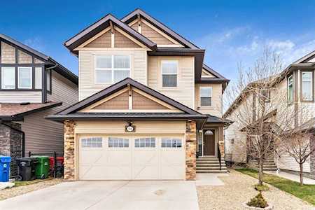 Skyview Ranch - Calgary NE Homes for Sale