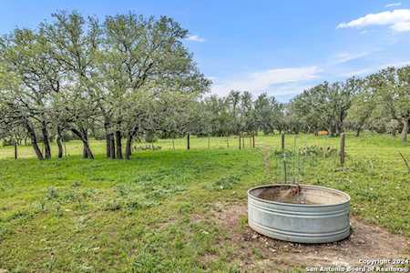 South Texas Ranches For Sale - South TX Hunting Ranches