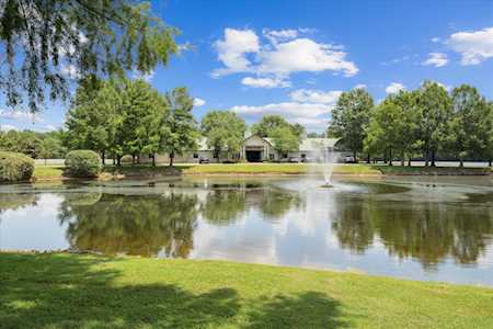 Spring Creek Ranch Homes for Sale in Collierville TN