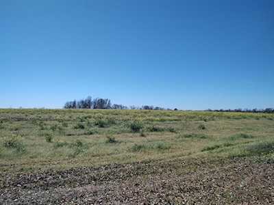 Ultimate Guide to Paint Color of 2024