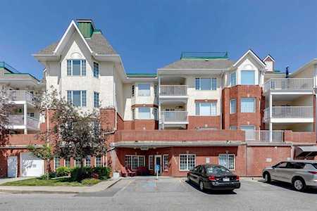 Discover Signal Hill: Your Ultimate Guide to Signal Hill Homes for Sale ...