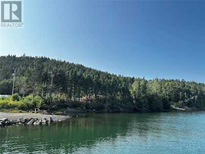 South Brook & Area Real Estate - Homes for Sale in South Brook & Area