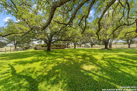 South Texas Ranches For Sale - South TX Hunting Ranches