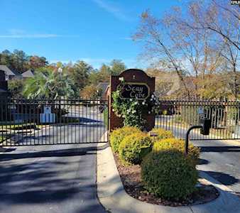 Seay Cove Homes For Sale in Lexington, SC
