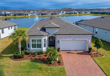 Homes for Sale in Del Webb Bexley of Land O Lakes
