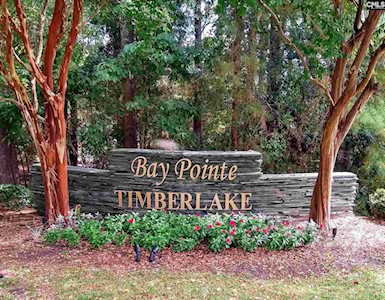 Bay Pointe of Chapin Real Estate - Homes for Sale in Bay Pointe of Chapin