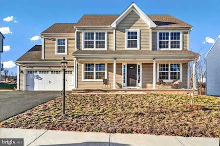 Joy Daniels | JoyDaniels.com