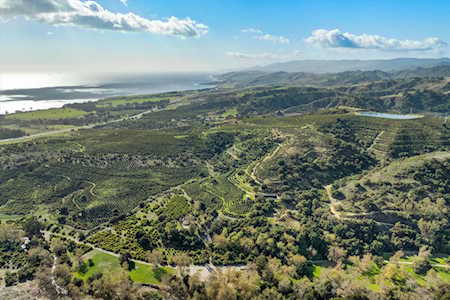 Goleta Homes for Sale | Goleta, CA Real Estate