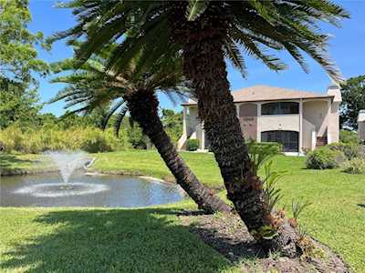Condos for Sale in Bonaventure of Palm Harbor by Lipply Real Estate