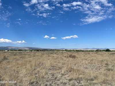 Springerville AZ Homes for Sale - Springerville Real Estate