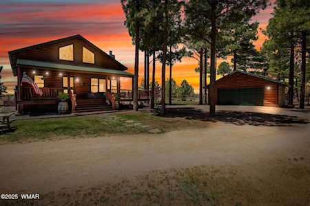 Heber/Overgaard AZ Homes for Sale - Heber/Overgaard Real Estate