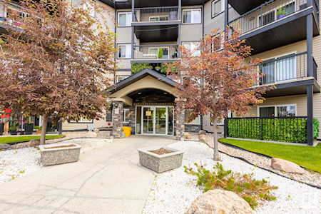 Edmonton Condos For Sale | Elevate Realty Group