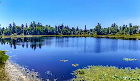 Hewitt Lake Waterfront Homes (Local Waterfront Specialists)