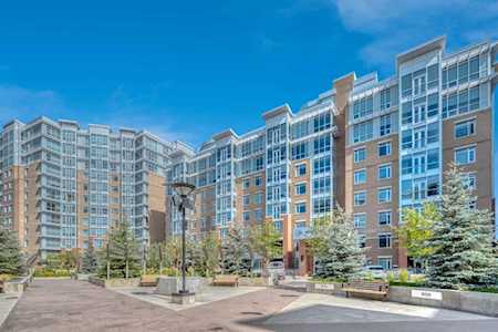 Groves of Varsity Condos for Sale in NW Calgary - Condominium Listings ...