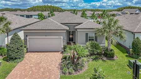 Homes for Sale in Del Webb Bexley of Land O Lakes