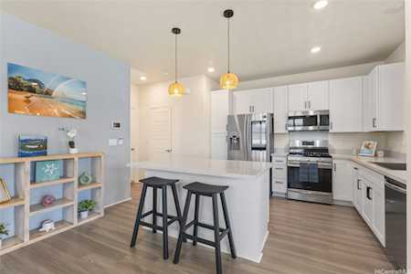 Exploring Ho'opili in 2024: What to Expect from Oahu's Mega Master Plan