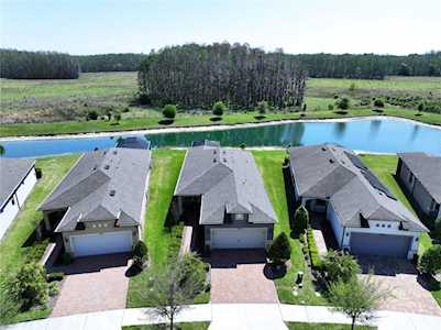 Homes for Sale in Del Webb Bexley of Land O Lakes