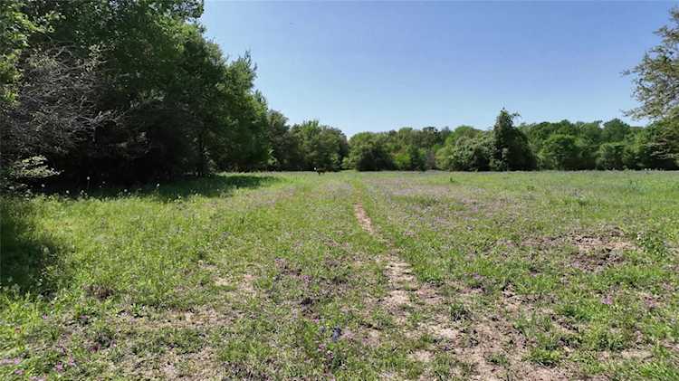 For sale 0 County Road 119 Ledbetter, TX farm for sale