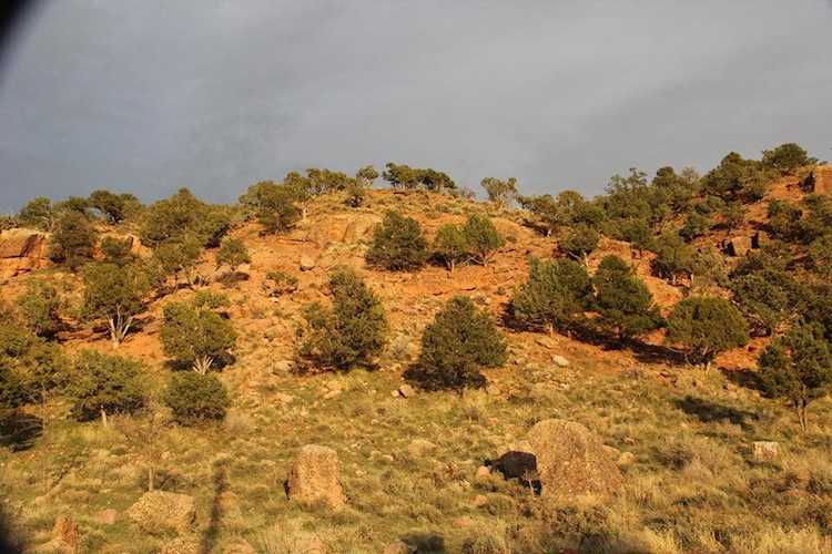 1478 N Foothill DR Paragonah, UT 84760 lot for sale, MLS#24-250267 ...