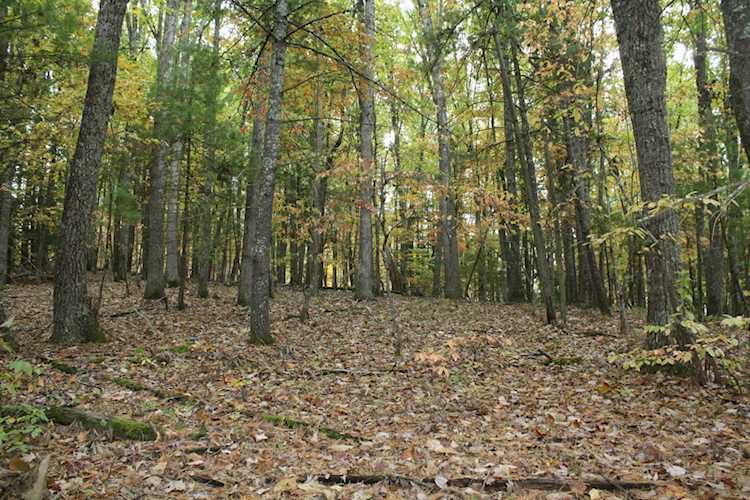 Lot 6 65 Canyon Rim Court Pipestem, WV 25979 | MLS 23-1282