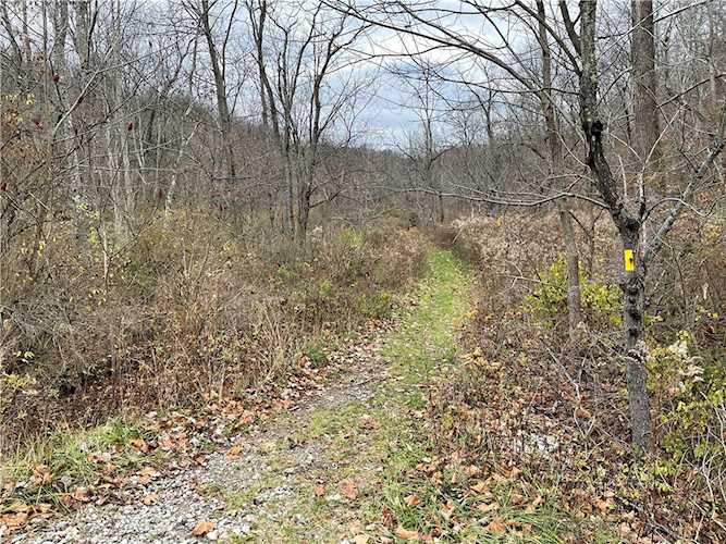 LOT Burtner Rd, Natrona Heights, PA 15065 - MLS #1700665