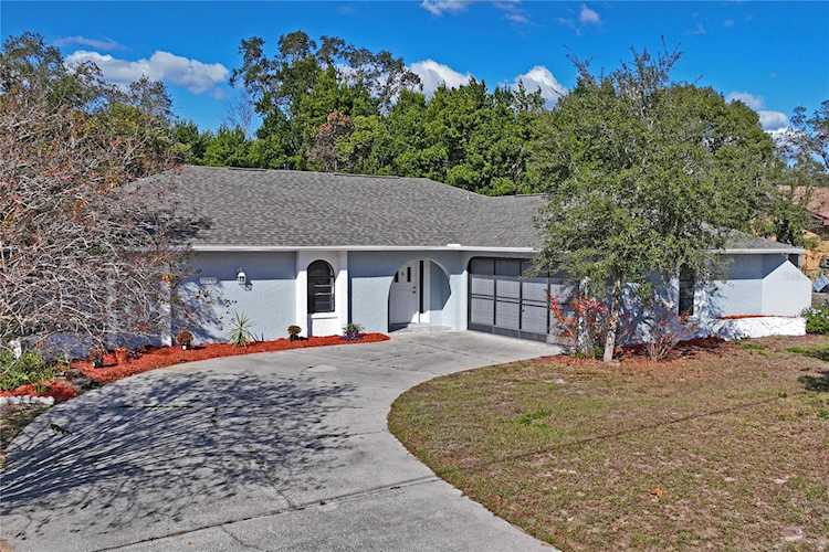 10237 Carrin Rd Spring Hill, FL 34608 | MLS W7881582
